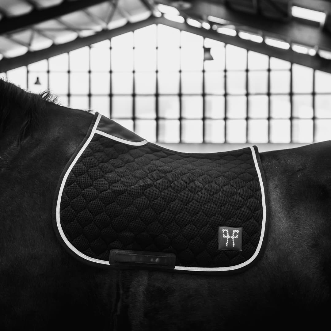 Horse Pilot • Technical equestrian clothing and equipment Horse Pilot