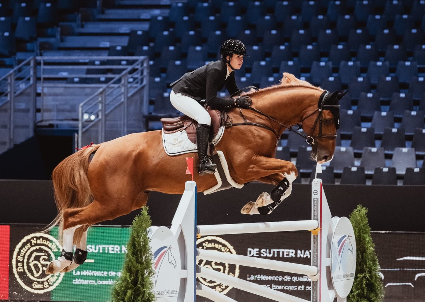 Épreuves et qualifications pour le CSO aux jeux de Paris 2024 Horse Pilot