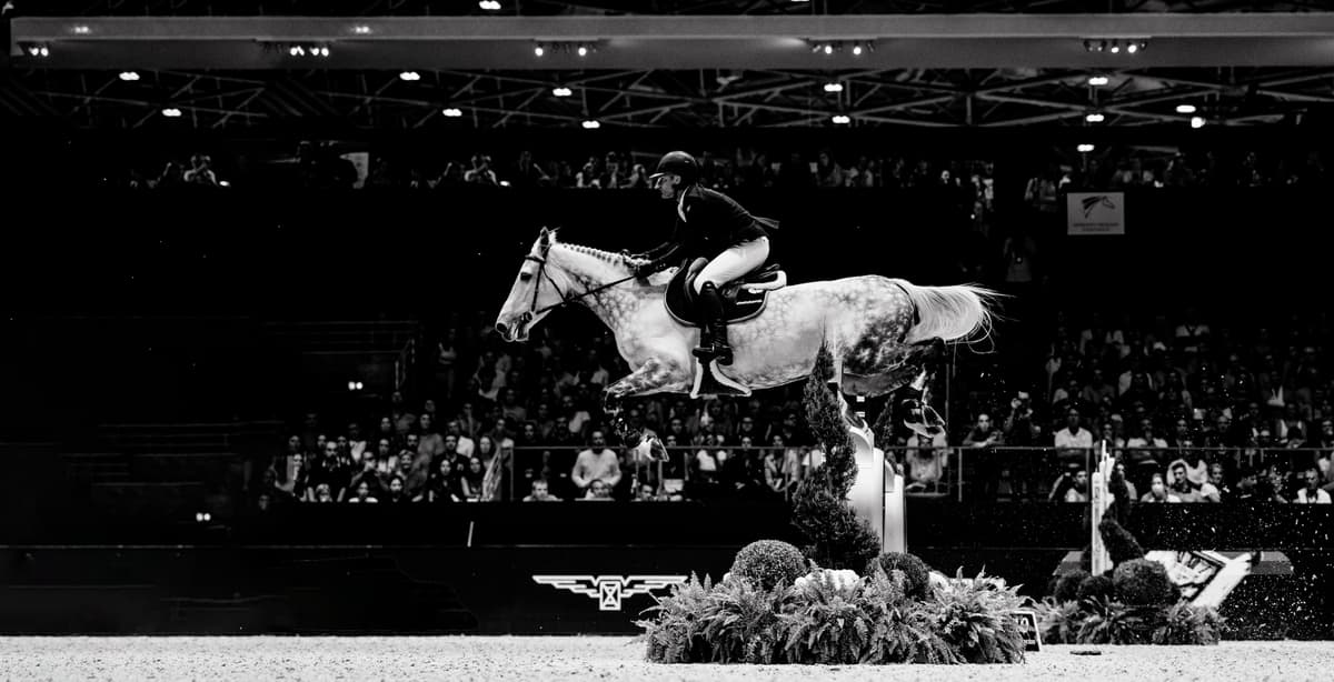 Pilot Series: immersion in the daily life of Gregory Cottard Horse Pilot