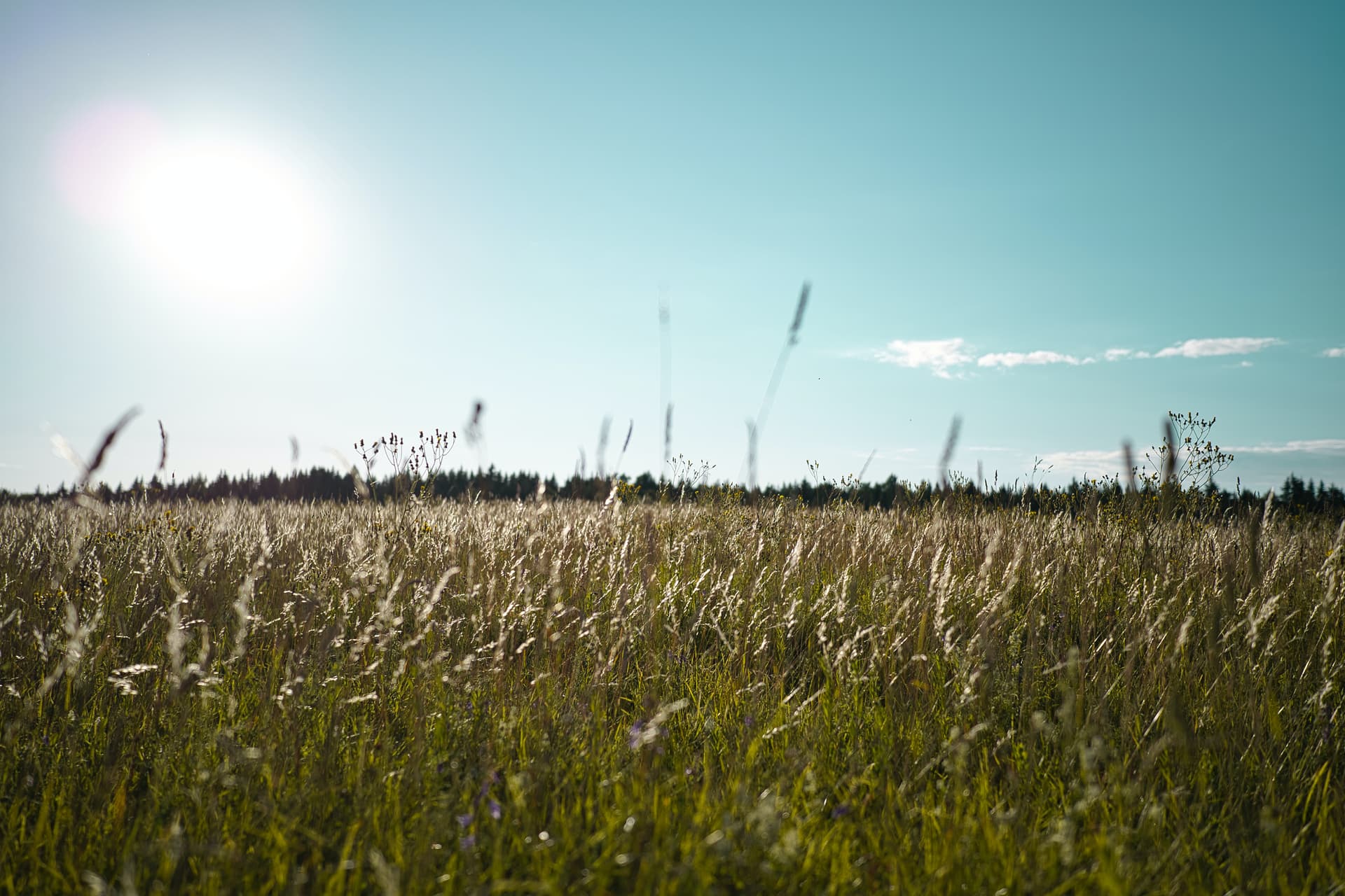 UV block • Ultraviolet ray protection technology • Protection for ...