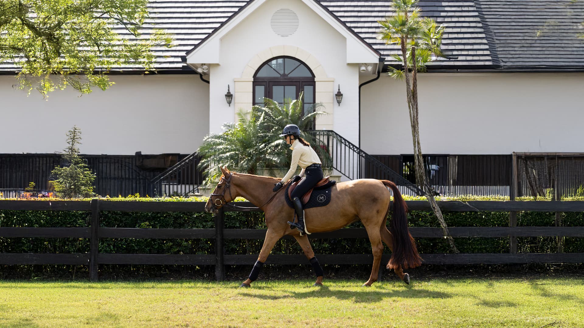 Horse Pilot • Technical equestrian clothing and equipment Horse Pilot