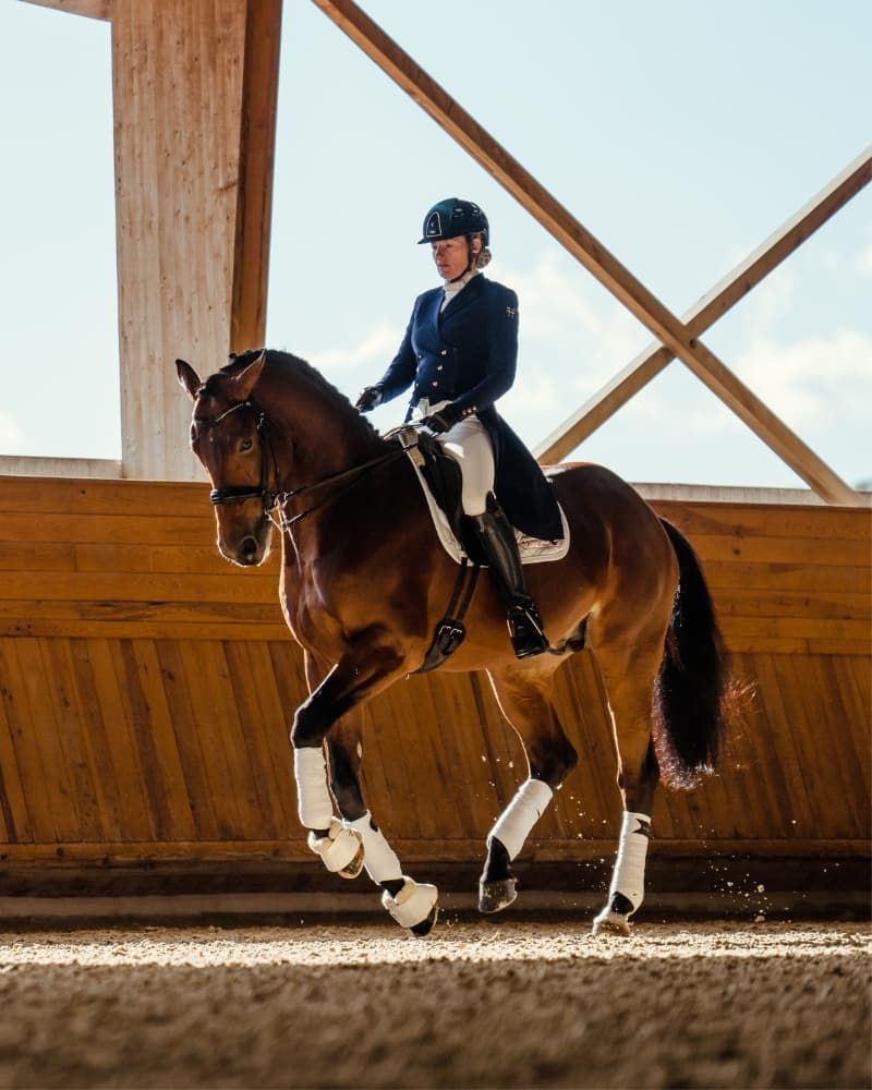 Equestrian clothing by discipline Horse Pilot