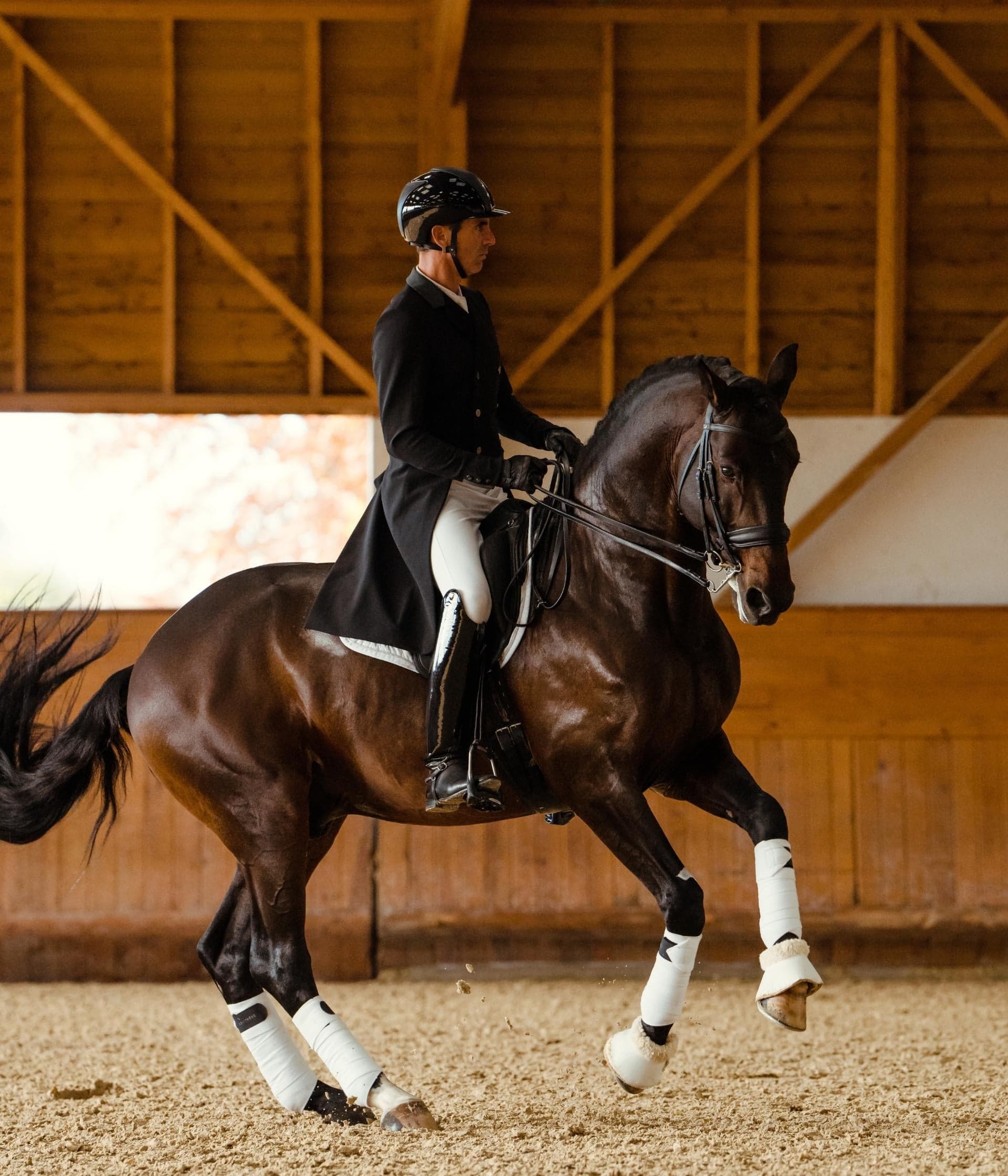 FRAC dressage • jacket men's riding jacket Horse Pilot