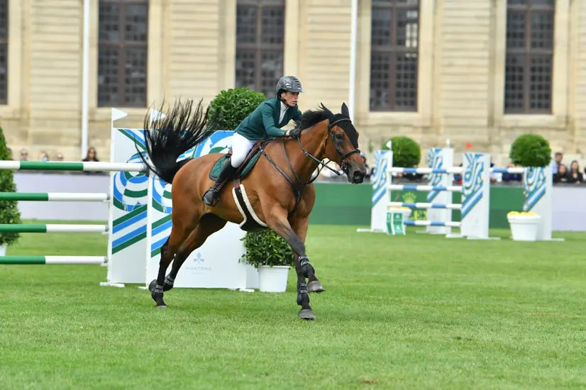 Les galops d'équitation : les diplômes du cavalier | Horse Pilot
